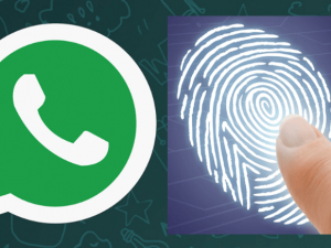 WhatsApp Username Feature 2026: Setup And Privacy Guide