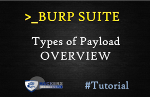Burpsuite Payloads Overview