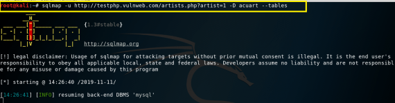 SQL Injection Testing Using SQLMAP